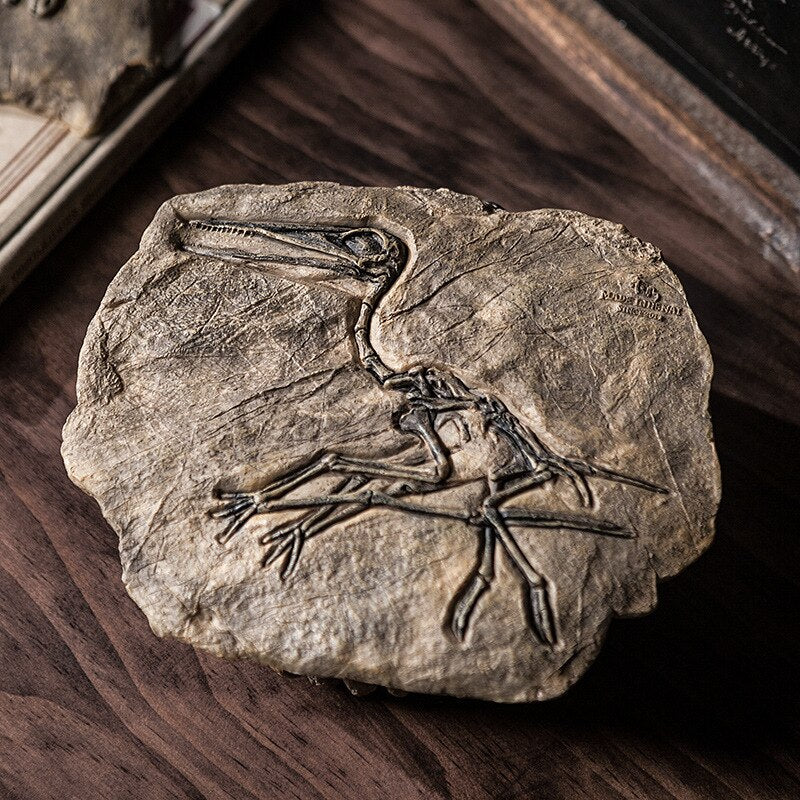 Dinosaur Fossil Decor – Arte Attic